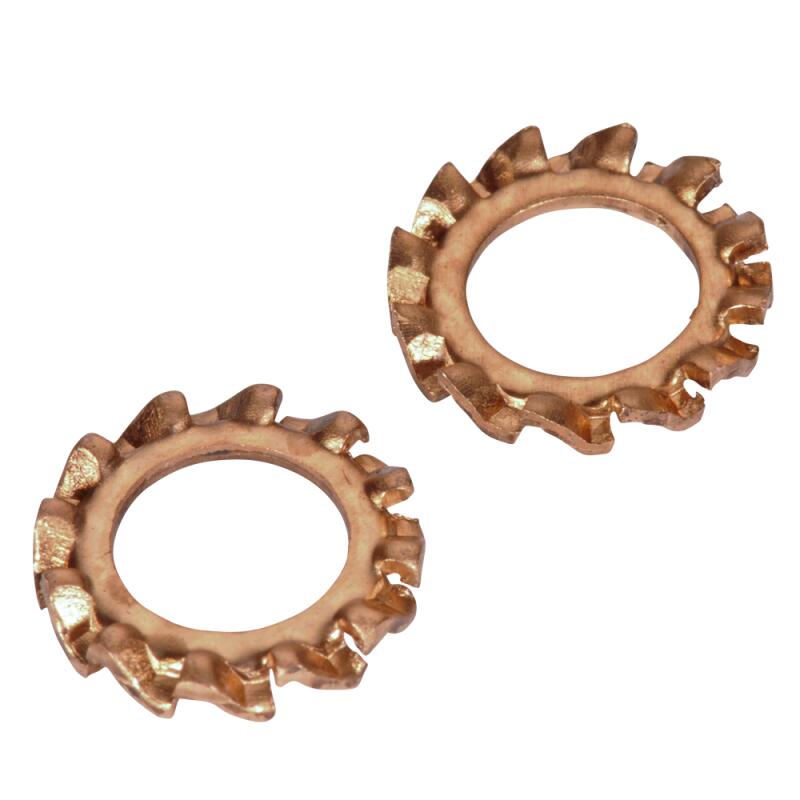 DIN 6798 Fächerscheiben Federstahl DiSP Bronze CuSn8 Form A, 4,07