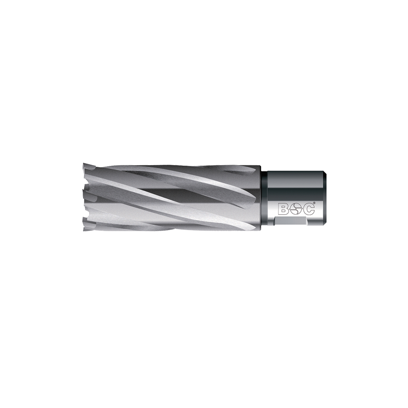 HM-Kernbohrer mit Weldonschaft (3/4Zoll) Bohrcraft Profi-Plus, 54,41
